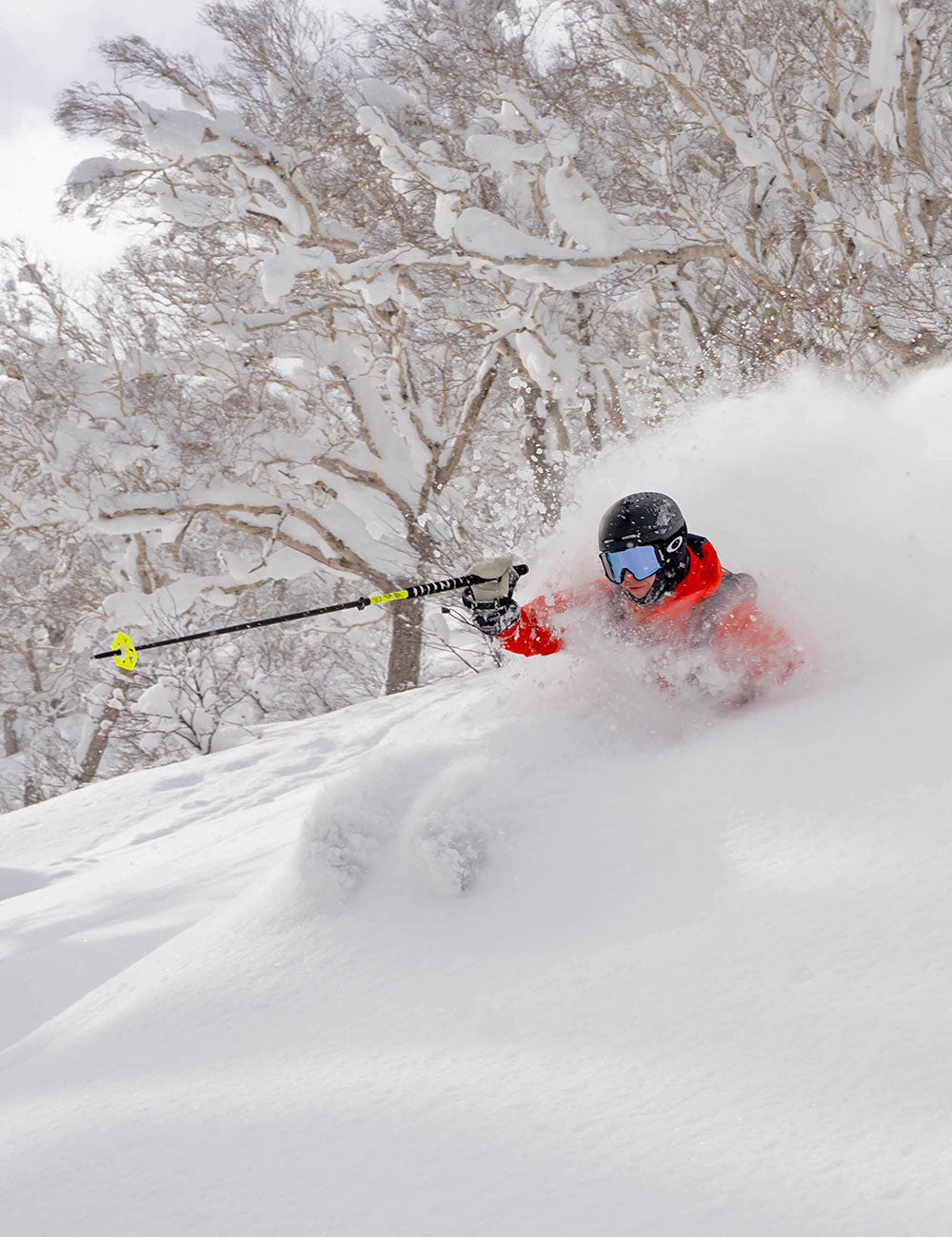 Renoun Skis with VibeStop™ I All-Mountain, Carving & Powder Skis
